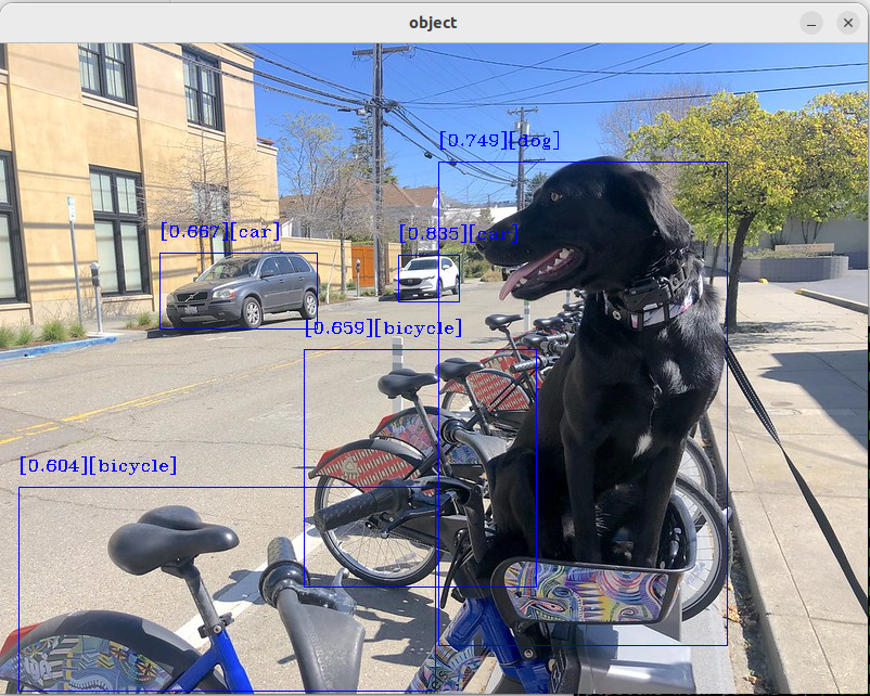 OpenVINO™ Object Detection Tutorial — Open Edge Platform Documentation